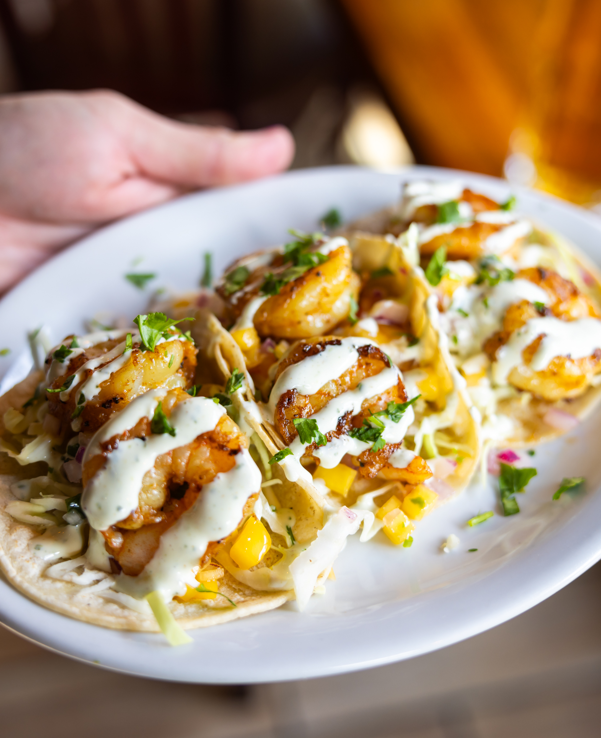 Plank Craft Kitchen + Bar: A Folsom Foodie Fav! - Folsom Eats